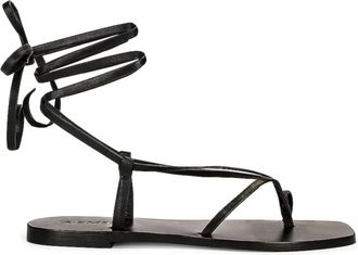 A.Emery A.emery, Femme, Chaussures, Noir, Taille: 36 EU Nolan Sandal