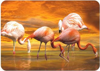 Fabulous Platzset, weich, Unterseite aus Kork, Deckchen, Flamingos, Pfirsich vor Sonnenuntergang, großes Format, 39,5 x 28,5 cm