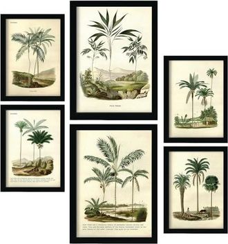 Nacnic Lot de 6 Palmiers Affiches. Dans Imprim&eacute;s vintage. Tableaux d&eacute;coratifs esth&eacute;tiques pour votre salon, chambre, maison Tailles A4 et A3 avec des cadres 