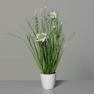 DPI Wiesenblumen mit Gras im Topf 34cm Weiß