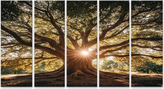 Islandburner Bild auf Leinwand Mächtiger Baum mit Sonnenstrahlen für Wohnzimmer Naturliebhaber Boutique Bilder Wandbilder Poster