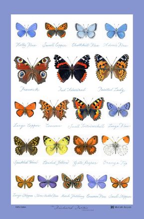 Samuel Lamont & Sons Geschirrtuch, Mehrfarbig, Einheitsgröße