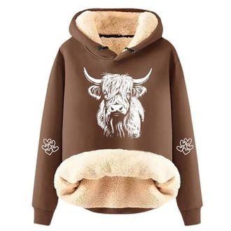 Generic Vestes dhiver pour femmes en laine &eacute;paisse chaude couleur unie laine dagneau sweat &agrave; capuche 2026, marron, XXL