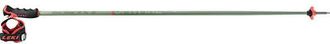 Leki Herren Alpin-Skistock Spitfire 3D