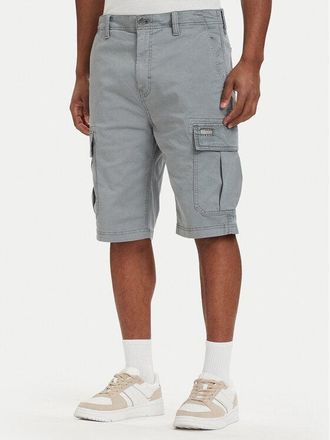 Tommy Jeans Stoffshorts Otis DM0DM22831 Grau Regular Fit