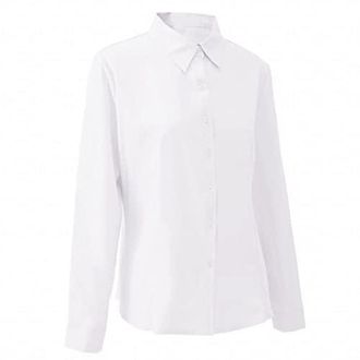 Generic Chemise de travail &agrave; manches longues pour femme - Coupe ajust&eacute;e - Extensible - Style ex&eacute;cutif - D&eacute;contract&eacute; - Affaires - Bureau - Entretien facile - E