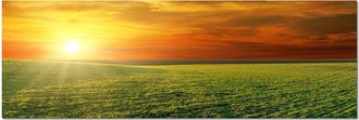 Paul Sinus Art Panoramabild auf Leinwand und Keilrahmen 150x50cm Feld Wiese Fr&uuml;hling Sonnenuntergang
