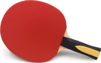 SUNFLEX EXPERT A30 Tischtennisschläger | Ambitionierter Freizeitspieler | ITTF zertifizierter Mandarin-Belag | anatomische Griffform | Mehrfarbig