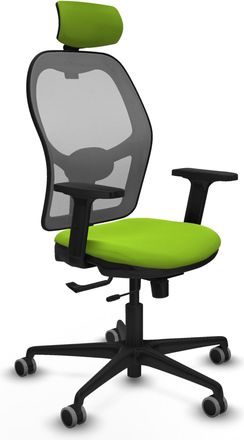 Piqueras y Crespo Ergonomischer Arbeitsstuhl mit 2D-Armen, h&ouml;henverstellbare Lendenwirbelst&uuml;tze und h&ouml;henverstellbares Kopfteil, Grau/Pistazie