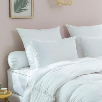 Dodo Oreiller naturel 70% duvet de Canard - 50/75 - DODO