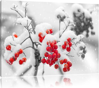 Pixxprint Rote Vogelbeeren im Winter B&W, Größe: 120x80cm, Leinwandbild, fertig gespannt, Wandbild, Dekoration, Kunstdruck, kein Poster