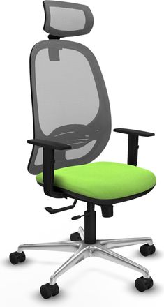 Piqueras y Crespo Gepolsterter Schreibtischstuhl mit 1D-Armlehnen, h&ouml;henverstellbare Lendenwirbelst&uuml;tze und h&ouml;henverstellbares Kopfteil, neigbar, Grau/Pistazie