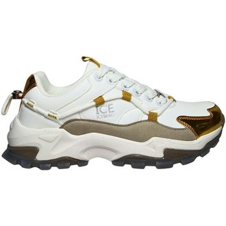 Iceberg s2m1_88036893_0024_f