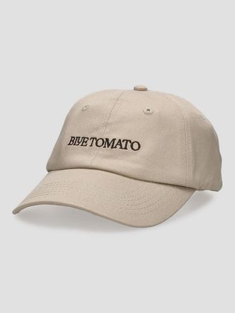 Blue Tomato Dad Hat Cap sustained gray