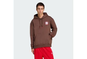 adidas Originals Kapuzenpullover GRAPHIC HOODIE (1-tlg)