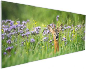 Wallario K&uuml;chenr&uuml;ckwand aus Glas 125 x 50 cm, Motiv: Rehbock auf Wiese | Spritzschutz abwischbar & pflegeleicht