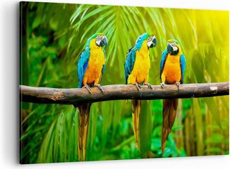 Arttor Wandbilder Dekoration Wohnzimmer Papageien Collorful Natur Vögel Bilder auf Leinwand 120x80cm Leinwandbild Schlafzimmer Deko Wand Kunstdruck Art Groß 