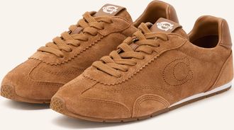 Coach Sneaker braun
