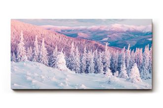 Paul Sinus Art Sinus Art Wandbild 100x50cm Pastellfarbene Winterlandschaft mit verschneiten B&auml;umen und stiller Weite