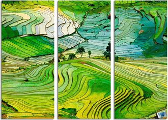 Paul Sinus Art 130x90cm - Keilrahmenbild Reisfelder terrassiert außergewöhnliche Landschaft Vietnam 3teiliges Wandbild auf Leinwand und Keilrahmen - Fotobild Kunstdr