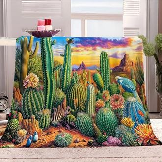 Generic Dessin Anim&eacute; Couverture Polaire 160x200 cm Fleur de Cactus au Coucher du Soleil Plaid Polaire Imprim&eacute; Microfibre Moelleuse Chaudes L&eacute;g&egrave;res Couvertures