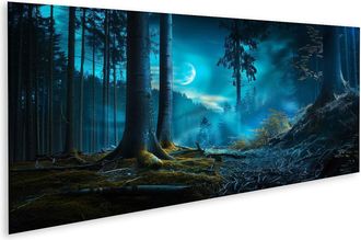 Islandburner Bild auf Leinwand Mystischer Wald bei Mondlicht f&uuml;r Schlafzimmer Naturfreunde Wellness-Spa Bilder Wandbilder Poster