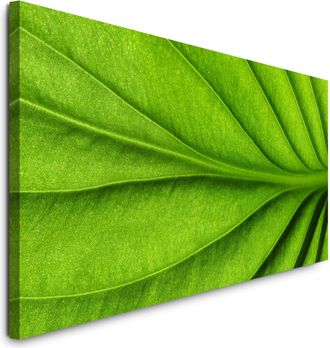 Paul Sinus Art GmbH grünes Blatt 120x 50cm Panorama Leinwand Bild XXL Format Wandbilder Wohnzimmer Wohnung Deko Kunstdrucke