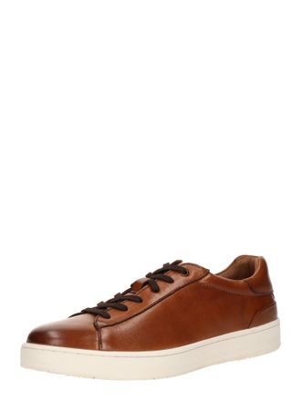 Salamander Sneaker