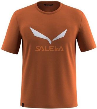 Salewa Solidlogo Dri-Release - T-Shirt Bergsport - Herren