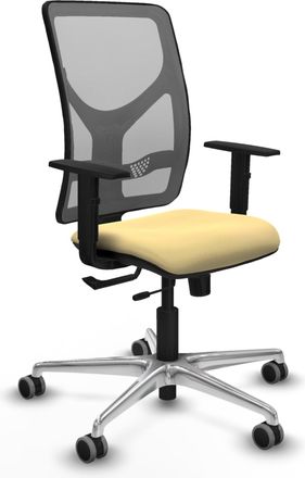 Piqueras y Crespo B&uuml;rostuhl mit verstellbarer R&uuml;ckenlehne, 1D-Armlehnen, h&ouml;henverstellbare Lendenwirbelst&uuml;tze, ausgestattet mit Syncro/Traslack und Schneideschaum, Grau