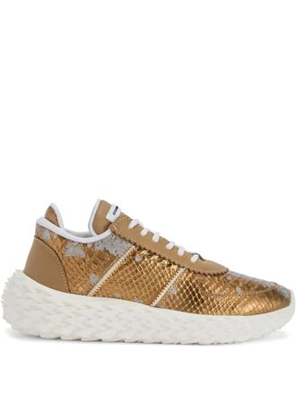 Giuseppe Zanotti Urchin Sneakers - Braun