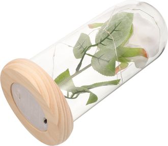 NUOBESTY Glasabdeckung Rose Valentinstag Dekoration Konservierte Wei&szlig;e Dauerhafte Rose mit Holzsockel Heimdeko f&uuml;r Wohnzimmer und B&uuml;ro Langlebige Blumendekorat