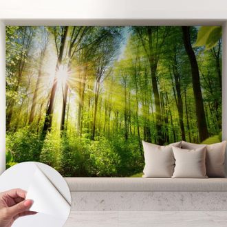 Tulup Carta Da Parati Adesiva - Lavabile - Decorazione Murale - Per Cucina - Pellicola Decorativa Luce Del Bosco 208x146 Cm