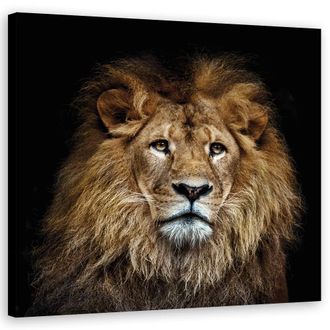 Feeby Bild auf Vlies Leinwand L&ouml;we Raubtier Wildkatze 40x40 cm Kunstdruck Modern Wandbilder Deko Flur Wohnzimmer Tier Exoten Natur Beige