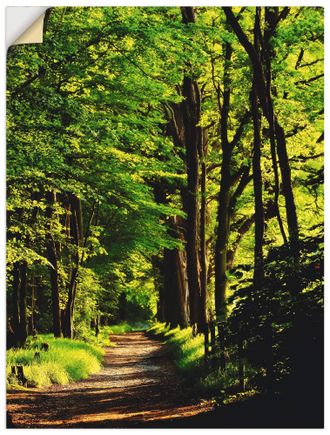 Artland ARTland Wanddeko Wandtattoo selbstklebende Vinylfolie 90x120 cm Wald Natur Landschaft Bäume Sonne Frühling Weg T1UC