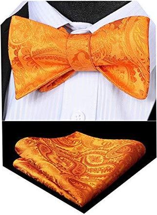 Hisdern hommes Self Cravate Paisley Floral Mouchoir Jacquard Partie De Poche De Mariage Set