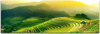 Paul Sinus Art Panoramabild auf Leinwand und Keilrahmen 120x40cm Vietnam Reisfelder Terrassen Morgenlicht