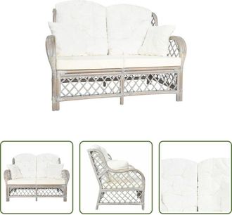 vidaXL Rattan-Sofa - 2-Sitzer-Sofa Grau Rattan