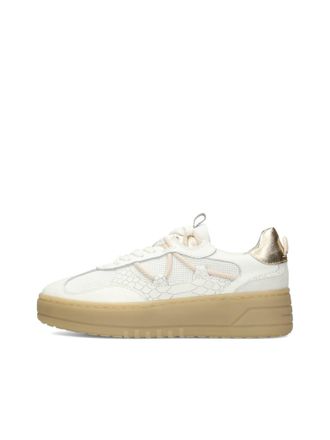 Poelman Sneaker Anemone