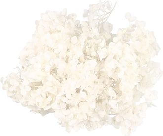 Amosfun 1packung Pack Mit Getrockneten Hydrangea-bl&uuml;tenbl&auml;ttern Wei&szlig; Nat&uuml;rliche Konservierte Bl&uuml;ten F&uuml;r Hochzeitsdeko Kunstprojekte Und Nagelkunst F&uuml;r Kreativ