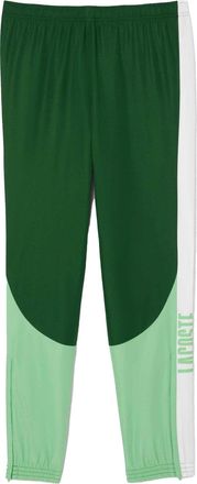 Lacoste Jogginghosen f&uuml;r Herren, Tennis (Gr&uuml;n)