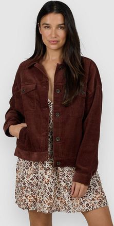Salty Crew Boardwalk Jacke chocolate