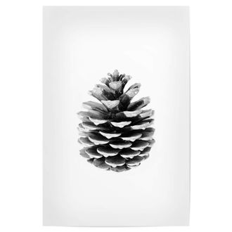 artboxONE Poster 90x60 cm Natur Pinecone hochwertiger Design Kunstdruck - Bild Pinecone Natur Nature
