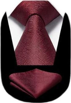 Hisdern Cravate Homme Bourgogne Cravate de Mariage Classique et Carré Cravate et Pochette Homme élégantes Cravates daffaires Party