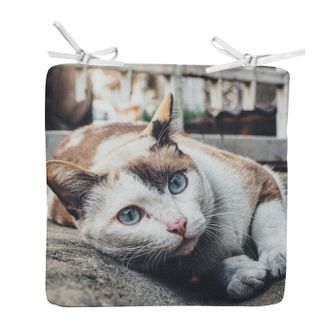 Fabulous Stuhlkissen, quadratisch, gro&szlig;e Stra&szlig;enkatze, Calico Europa, niedlich, blaue Augen, 40 cm