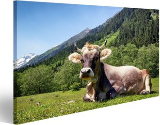 Islandburner Bild auf Leinwand Kuh An Der Alpen Wandbild Poster Kunstdruck Bilder