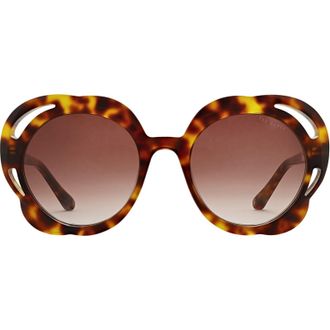 Ted Baker Aurora Damen-Sonnenbrille