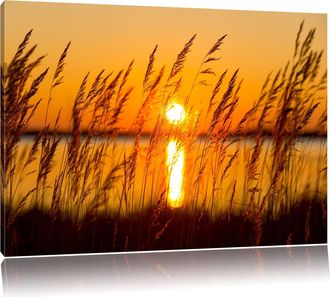 Pixxprint Sonne zwischen Gräsern, Größe: 120x80cm, Leinwandbild, fertig gespannt, Wandbild, Dekoration, Kunstdruck, kein Poster
