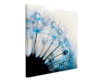 Paul Sinus Art Leinwandbild 60x60cm Naturfotografie - Makroaufnahme einer Pusteblumen auf Leinwand exklusives Wandbild moderne Fotografie f&uuml;r ihre Wand in vielen Gr&ouml;