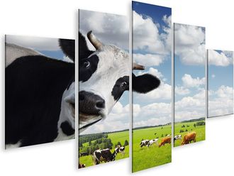 Islandburner Bild auf Leinwand Funny Cow Suche Nach Einer Kamera Mit Gr&uuml;nen L&auml;ndlichen Wiese Auf Dem Backgroung Wandbild Poster Kunstdruck Bilder